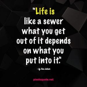 50 Funny Life Quotes to make you Laugh | PixelsQuote.Net