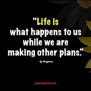 50 Funny Life Quotes to make you Laugh | PixelsQuote.Net