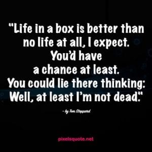 50 Funny Life Quotes to make you Laugh | PixelsQuote.Net