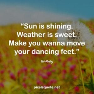 60 Summer Quotes help you enjoy this Summertime happily | PixelsQuote.Net