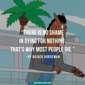 53 Best Bojack Horseman Quotes | PixelsQuote.Net