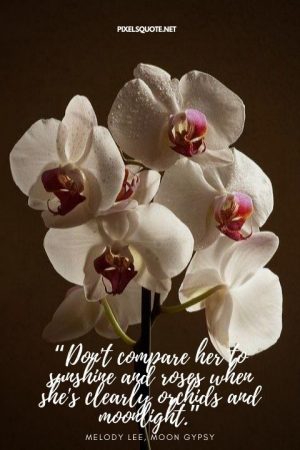 Orchid Quotes | PixelsQuote.Net