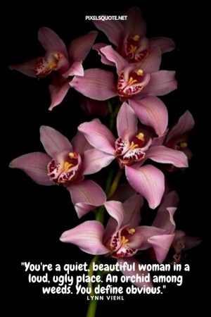 Orchid Quotes | PixelsQuote.Net