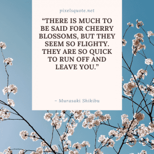 Cherry Blossom Quotes with Beautiful Images | PixelsQuote.Net