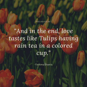 Tulip quotes | PixelsQuote.Net